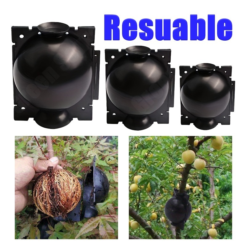 High Pressure Plant Rooting Ball Plant Rooting Box Fruit Tree Seedling ...