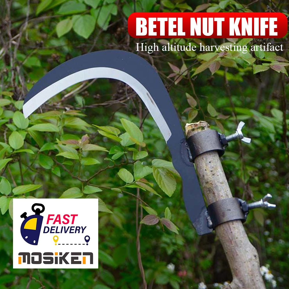 Agricultural tools Betel Nut Knife Gardening tools Hight Quality Knife ...