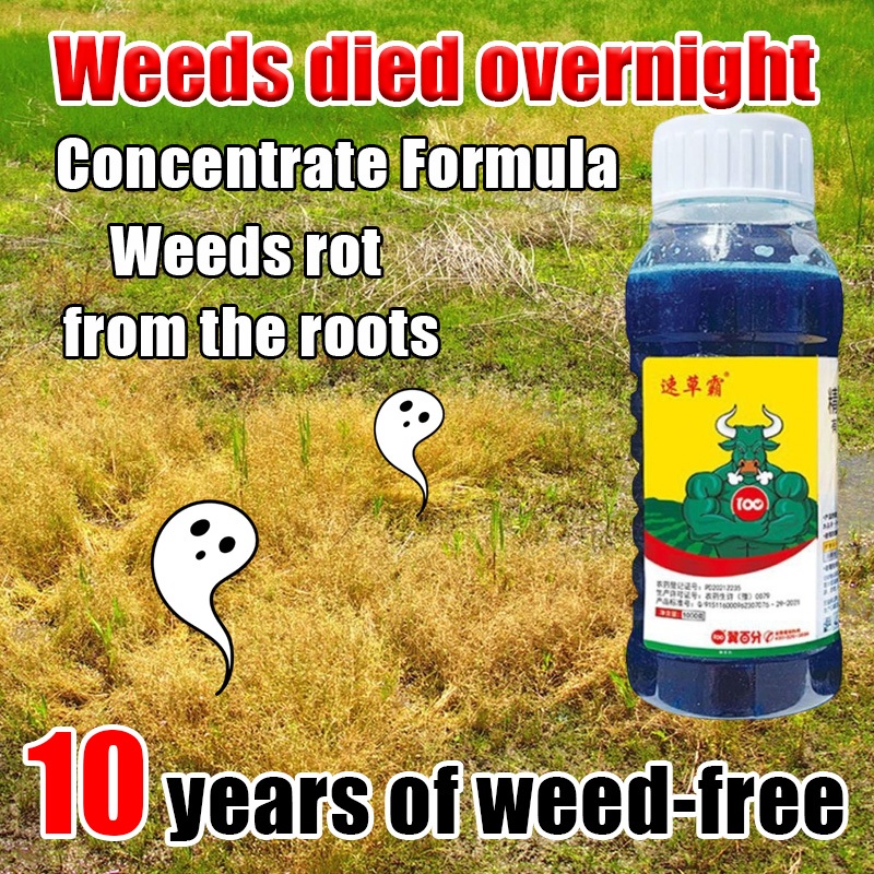 No weeds for 10 years！！BL Weed killer racun rumput Racun paraquat ...