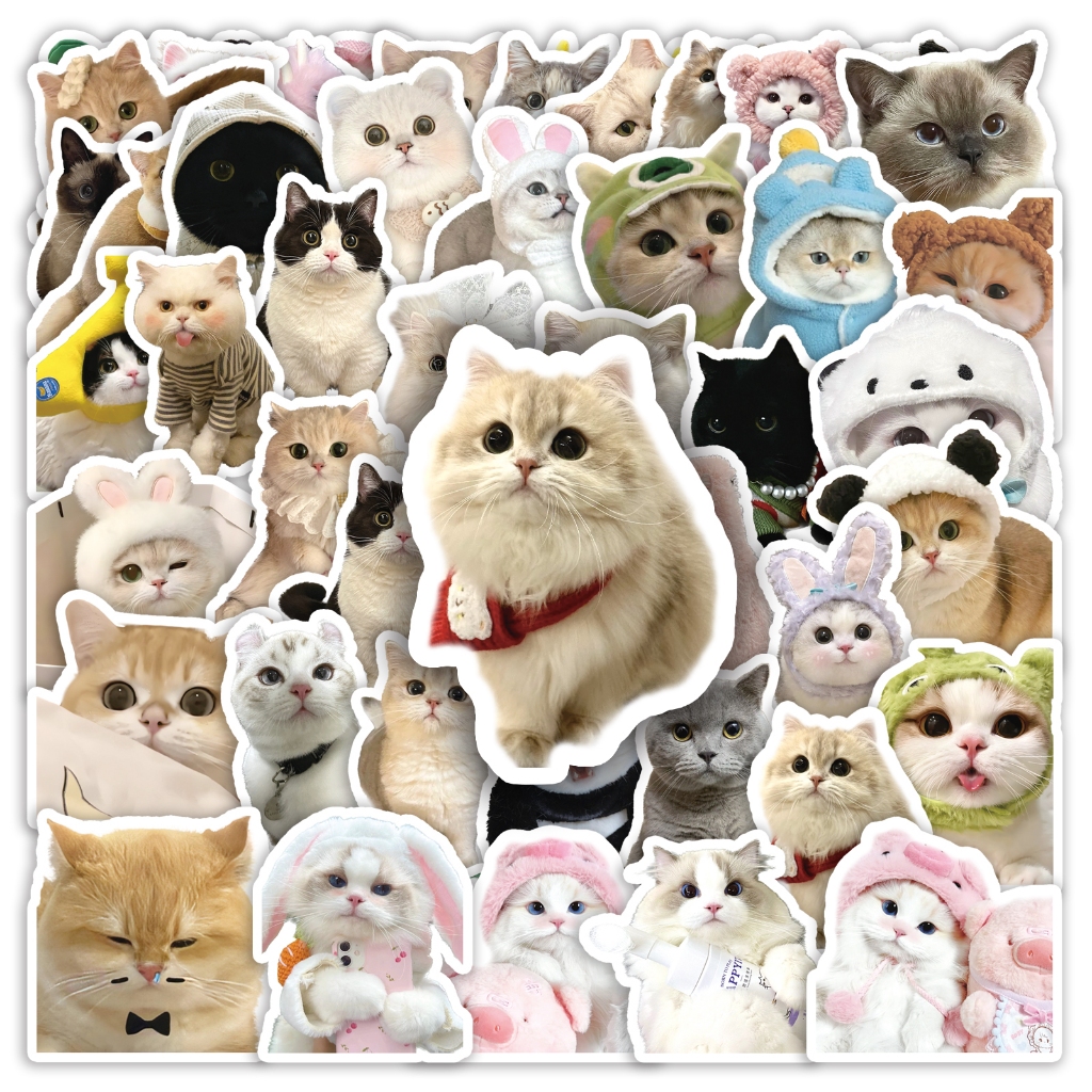 meme sticker - Prices and Promotions - May 2026 | Shopee Malaysia