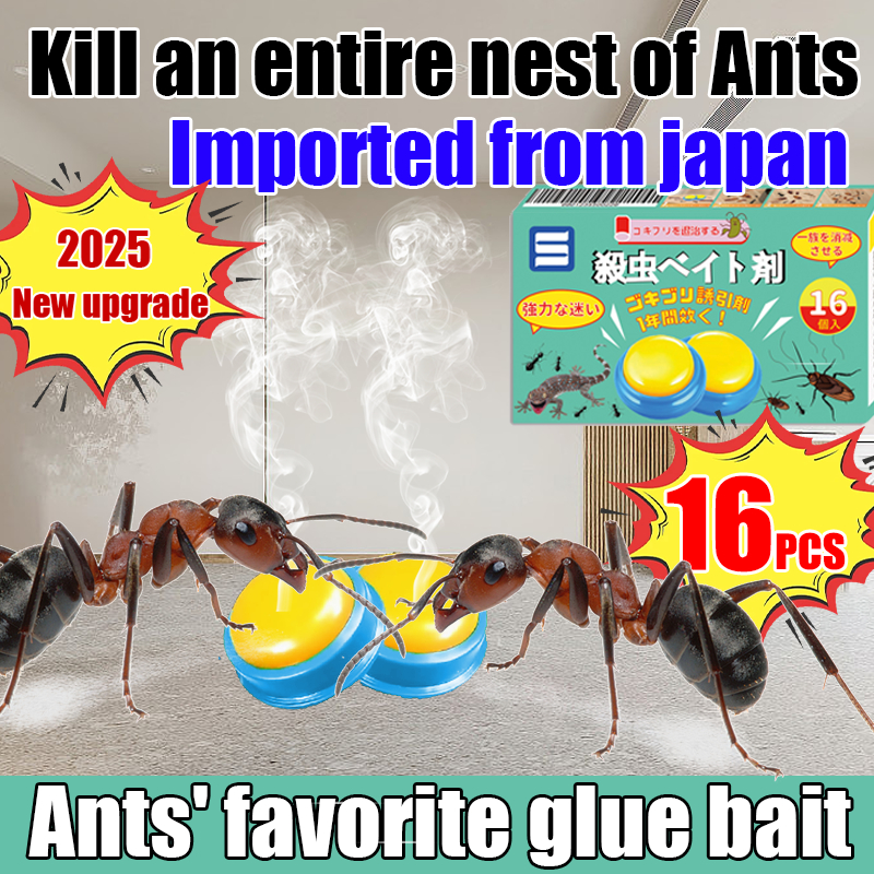【2025New】TTG Ant killer Ant bait killer Ant gel bait Ants' favorite ...