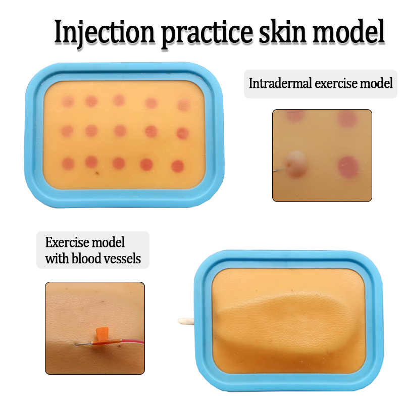 1PC Human Skin Suture Training Model Medical Training Model Intravenous ...