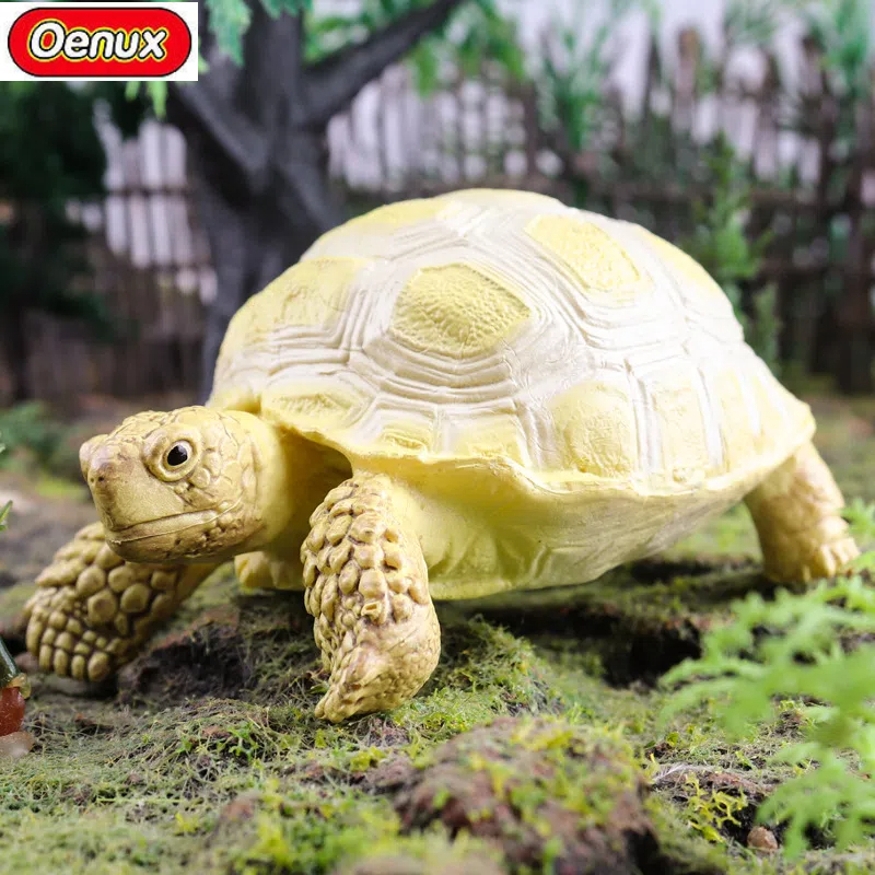Children's Toys Solid Turtles Simulation Wildlife Model Ornaments ...