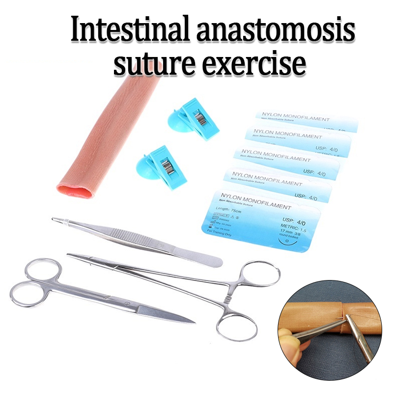 Medical Surgery Bowel Anastomosis Training Model Laparoscopic Suture ...