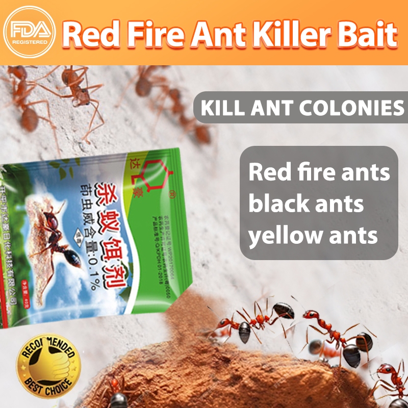 Kill the entire red fire ant nest SG ant killer ubat semut red ant ...