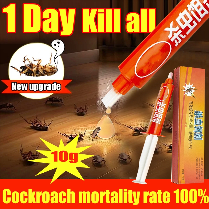 New upgrade of cockroach bait Kill with an Infectivity 10 Times ...