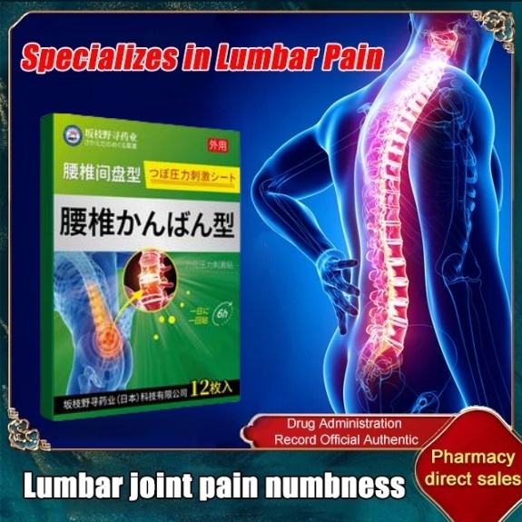 ⭐COD⭐️Japan sciatica pain relief patch 12 stickers/box lumbar & back ...