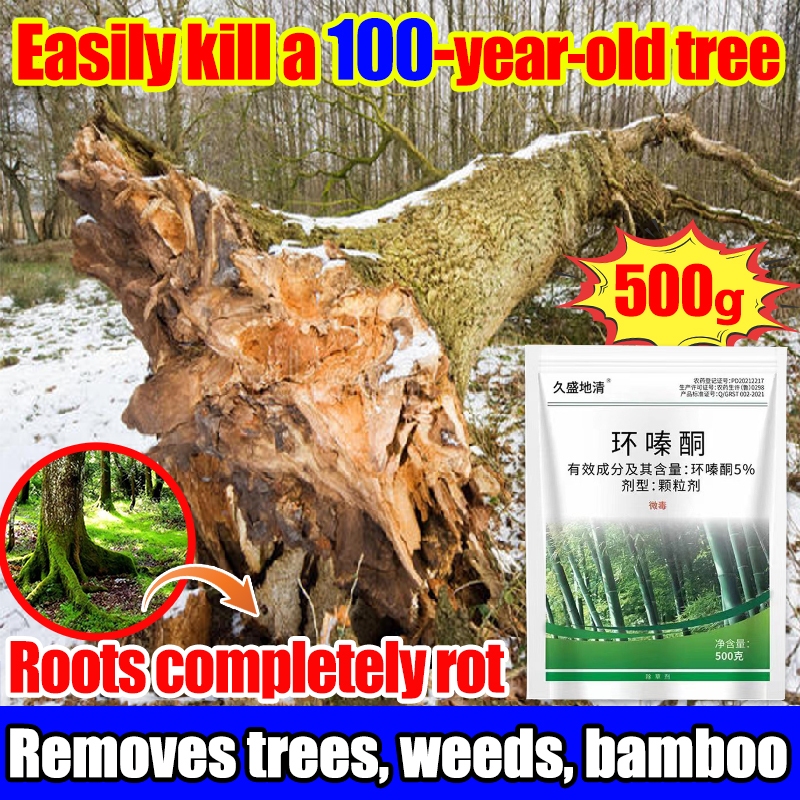 Removes trees, weeds, bamboo 3 In 1 🔥 racun rumput paling berkesan ...