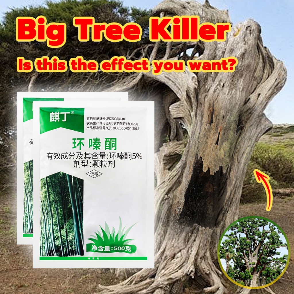 racun buluh paling berkesan racun pokok Hexazinone Tabur Rumput racun ...