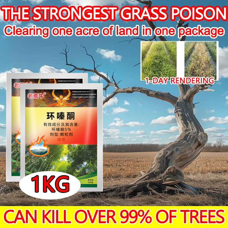 Killing a thousand year old tree only takes one day 1KG Racun pokok The ...
