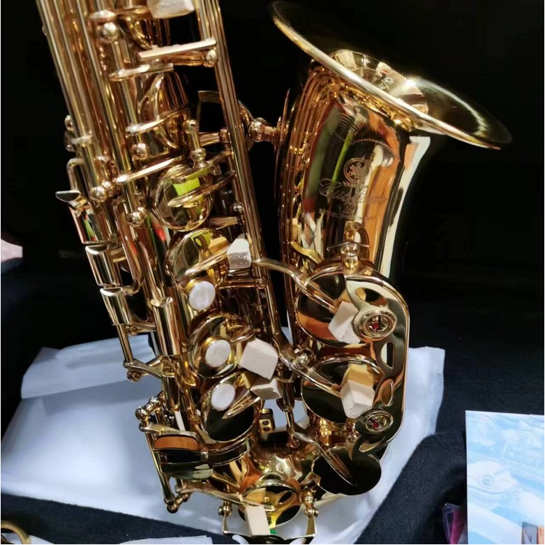Yamaha YAS-82Z Gold Plated E flat Tune Alto Saxophone with all ...
