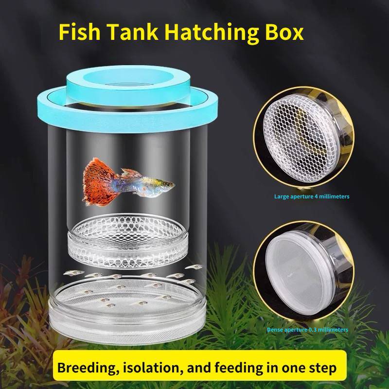 Fish tank hatching box with locator guppy breeding isolation box small ...