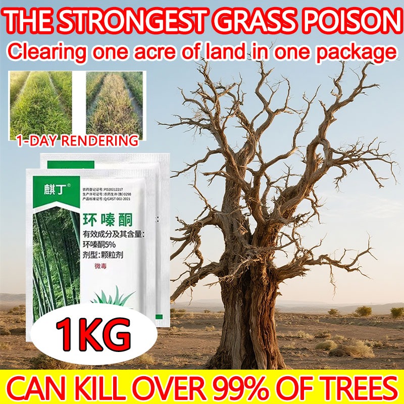Not a blade of grass has grown for ten years 1KG Racun pokok The ...