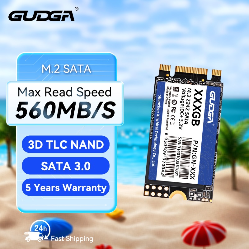 GUDGA SSD M2 SATA 22X42mm M.2 NGFF SATA SSD 64GB 128GB 256GB 512GB ...