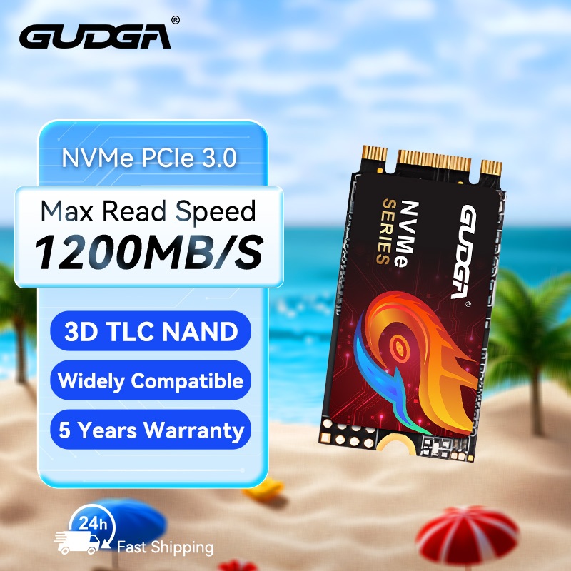 GUDGA NVMe SSD M2 128GB 256GB 512GB 1TB PCIe 3.0x2 M.2 NVMe 2242 For Laptop Desktop Notebook ...