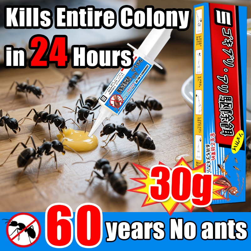 Big Size 30g Breeze Ant bait killer Ant killer Semut racun Ant bait ...