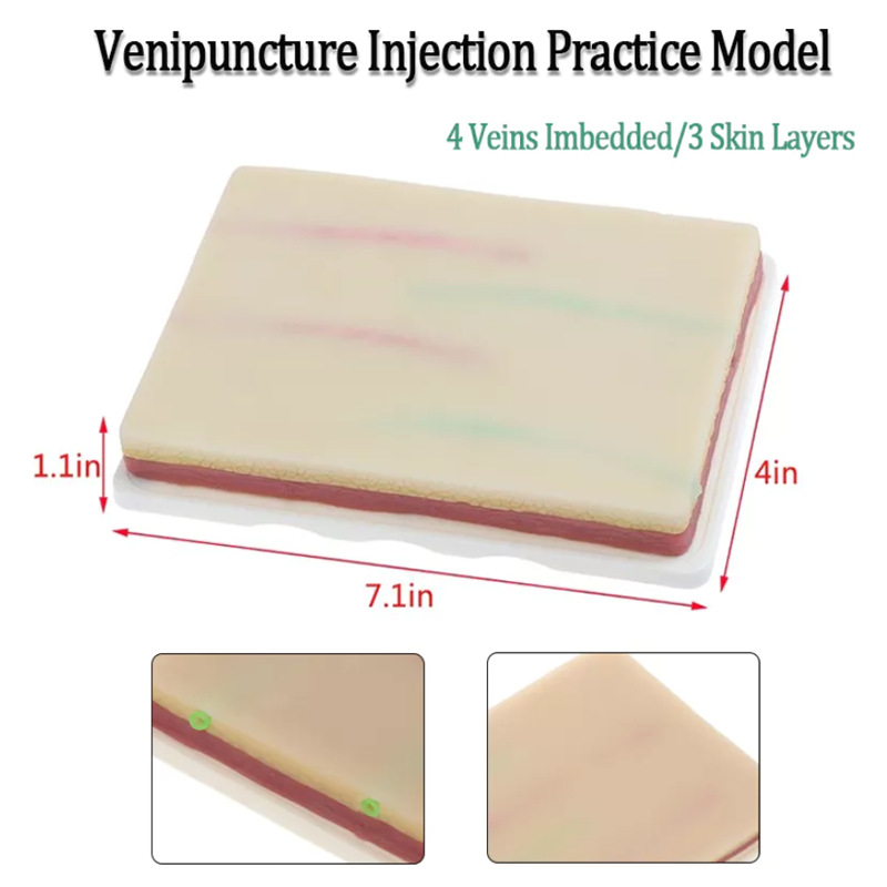Silicone Human Skin Venipuncture Injection Training Model 4 Vein ...
