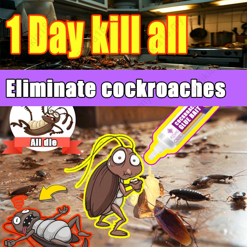 Cockroach Medicine, Household Cockroach Killer Medicine, Cockroach Glue ...