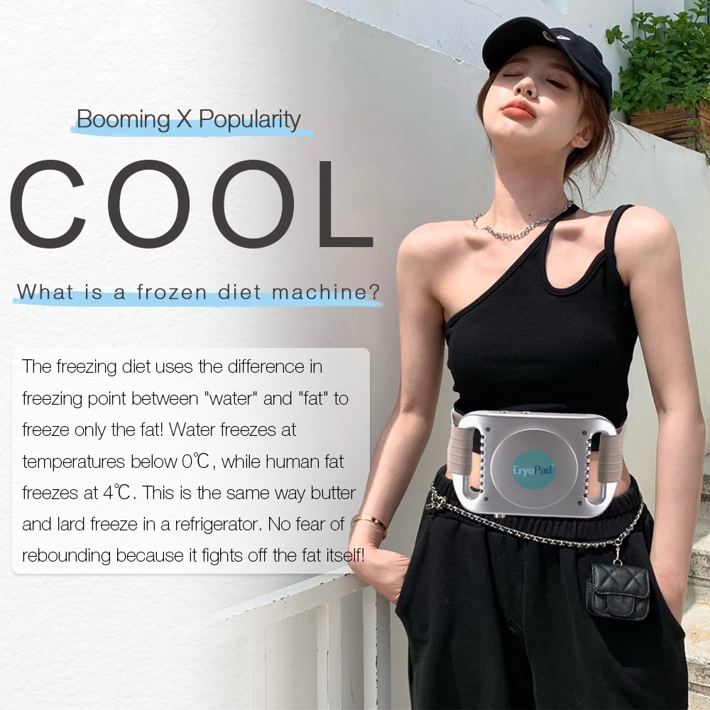Slimming Frozen Fat Melting Machine Frozen Slimming Machine Portable ...