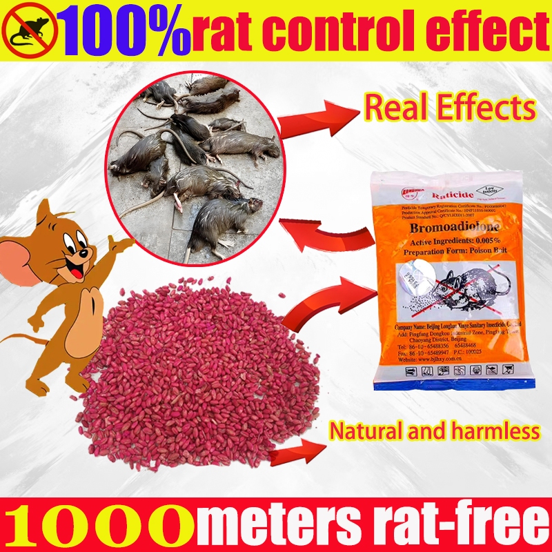 100% rat control effect racun tikus Buy 1 Get 2 Free 150g mouse dies ...