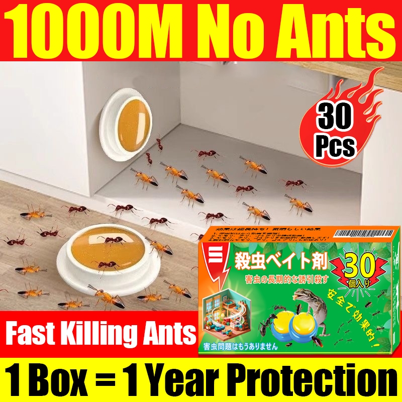30 Pieces! Breeze Ubat semut Ant killer Racun semut Ant bait Quickly ...