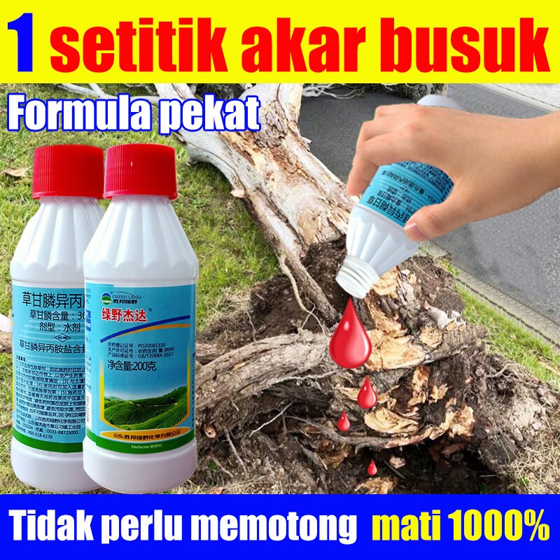 1 setitik akar busuk racun pokok paling kuat tree killer Racun rumput ...