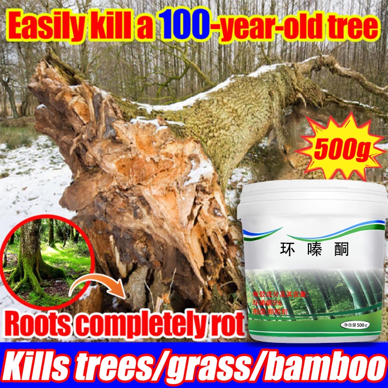 Kill trees and weeds overnight racun rumput paling kuat tree killer ...