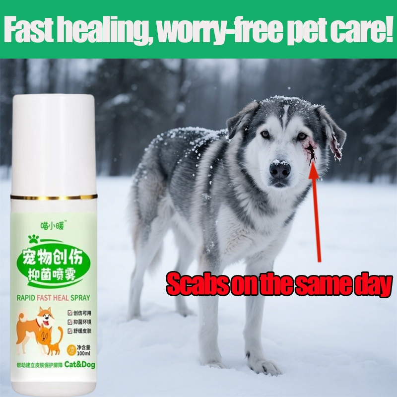 Portable packaging spray luka kucing spray luka haiwan dog wound spray ...