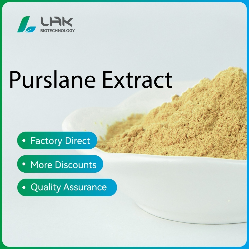 Factory wholesale and retail purslane extract 10:1 five elements grass ...