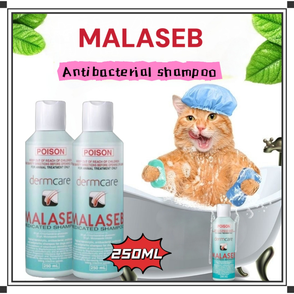 【1 bottle-250ml】 Malaseb Medicated shampoo for Dogs & Cats/ Dog shampoo ...