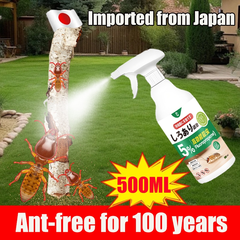 🔥 Total kill, zero termites left! 🐜 Termite killer Anai killer spray ...