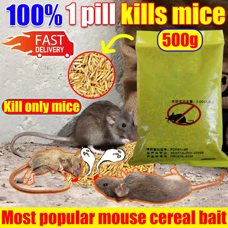 💥100% 1 pill kills mice！🐭racun tikus paling berkesan Most popular mouse ...