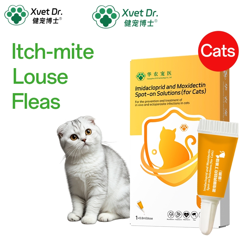 Xvet Dr Cat Dewormer Advocate Same Formula Cat Flea Cat Ticks Lices ...
