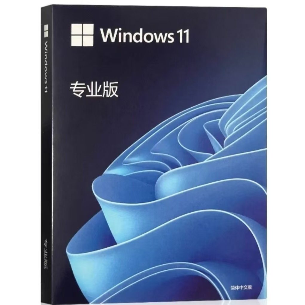 Genuine Win11 Professional Version System Computer U Disk wind10 ...
