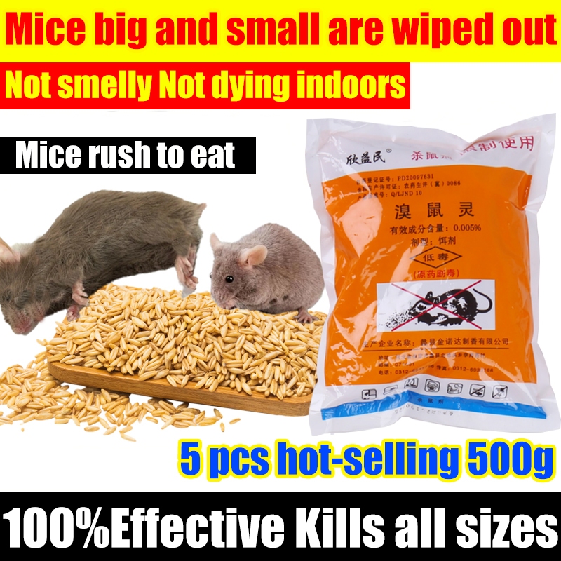 Rats die out doors and don't need to be cleaned up ubat tikus paling ...