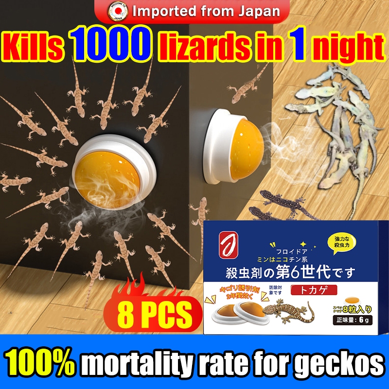 Kills 1000 lizards in 1 night！racun cicak paling berkesan 6th ...