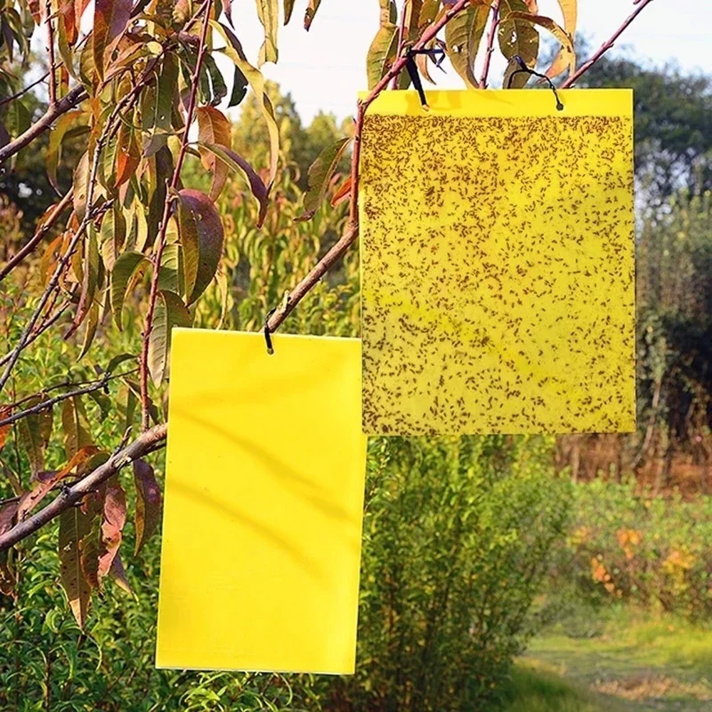 Greenhouse Bugs Traps Bugs Sticky Board Multiple Flying Insect Catching ...