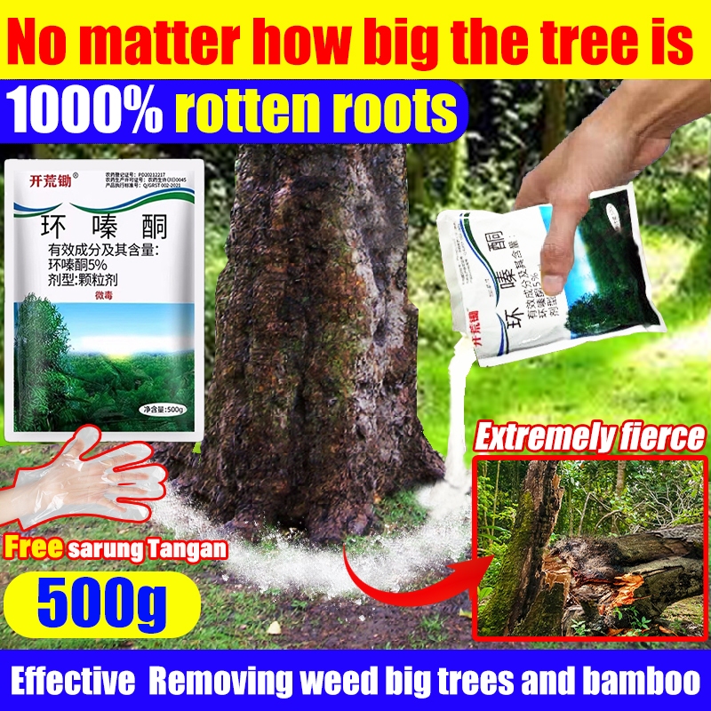 Can kill 100-year-old trees racun rumput cepat mati racun rumput tabur ...