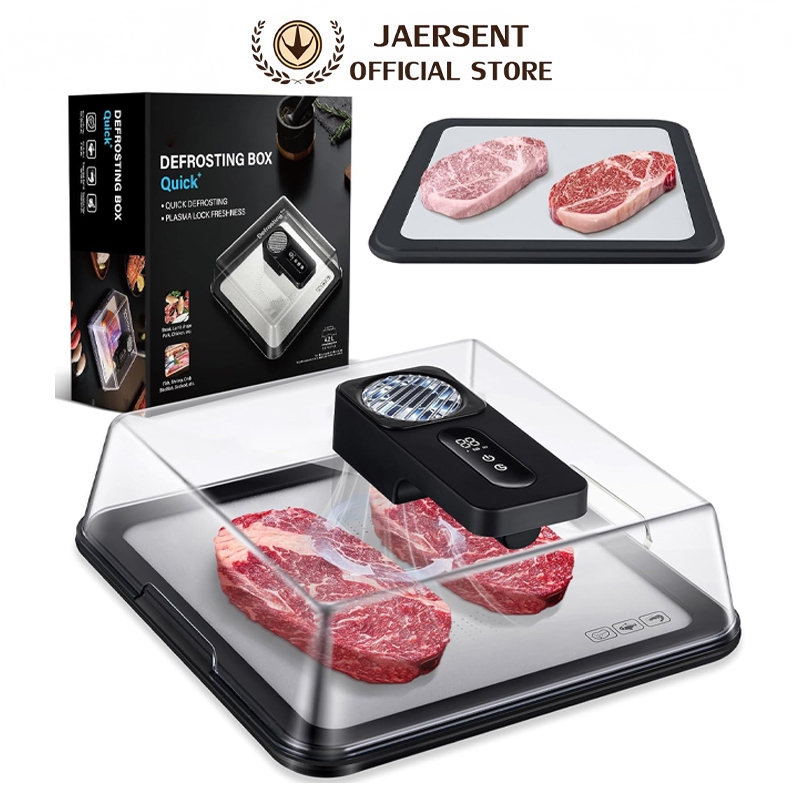 JAERSENT Kitchen Quick Thaw Machine Defroster Multi-functional ...