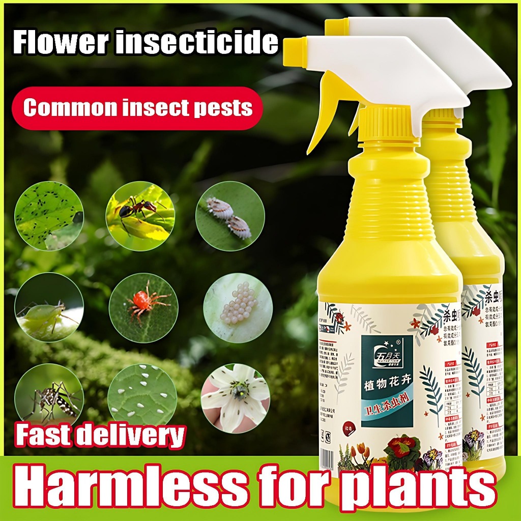 Plant Insecticide Spray 500ml No Harm to Plants Pesticides for Plants ...