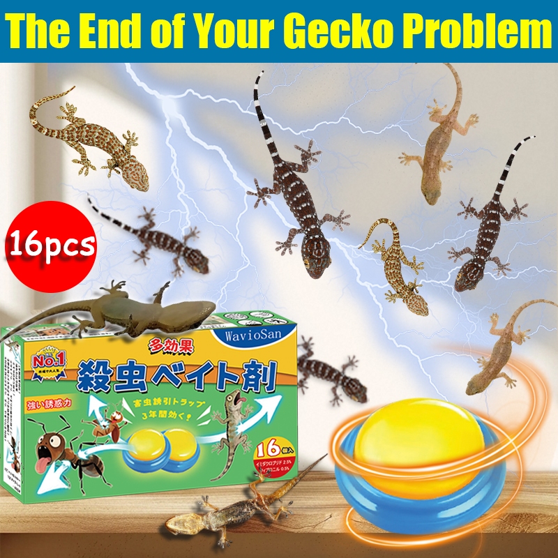 【Lizard Lures Death】ioo Ubat cicak Lizard killer Cicak racun Lizard ...