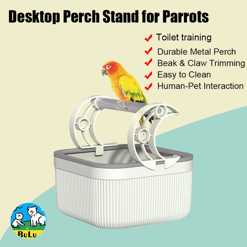 [Best Seller] Parrot Perch for Potty Training, Metal Desktop Stand to ...