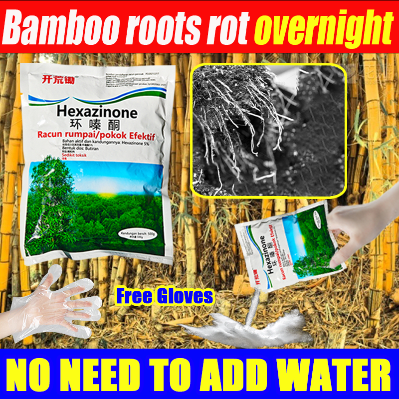 Bamboo roots rot overnight racun pokok buluh Racun pokok kayu besar ...