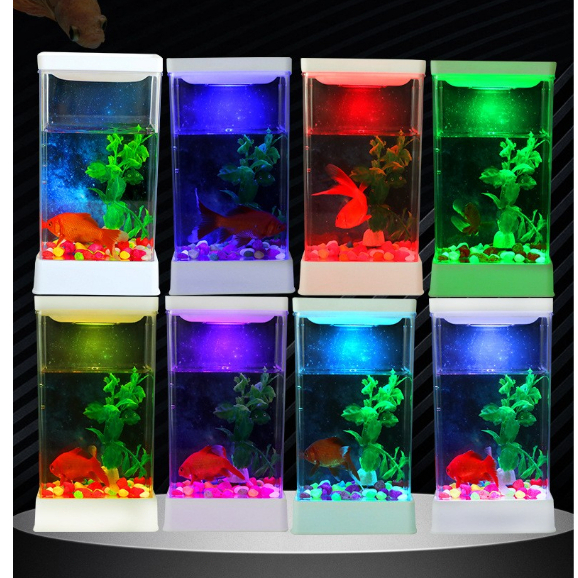 light desktop fighting fish acrylic viewing box goldfish creative micro ...