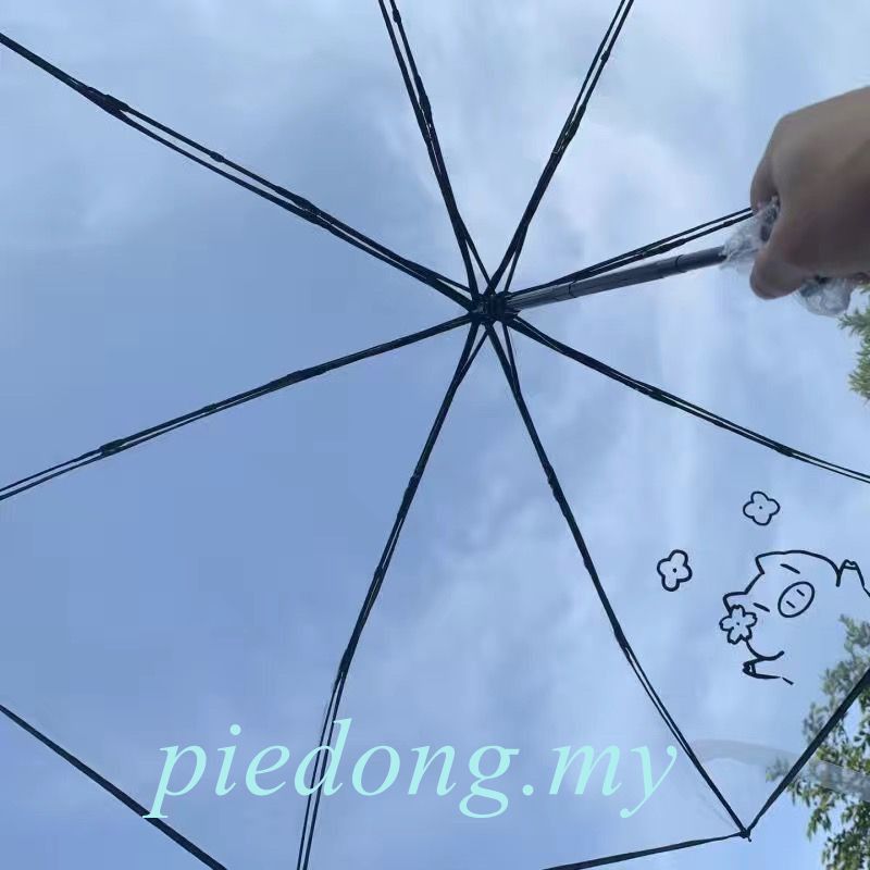 Transparent Umbrella Japanese Forest Folding Fully Automatic ...