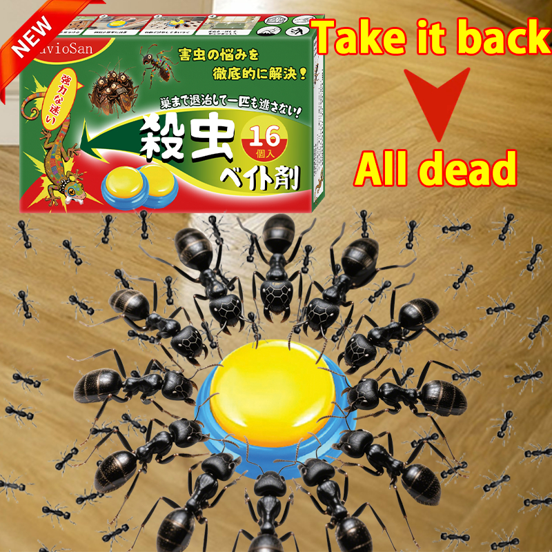 Strong infectious death Verve Ant killer Ubat semut berkesan Ant bait ...