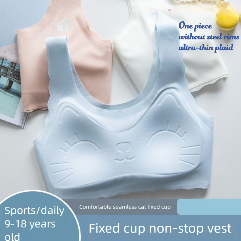 Developmental Stage Underwear for Girls - Breathable Cotton Fixed Cup ...