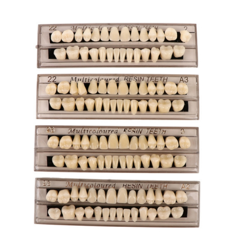 28Pcs Resin Denture Teeth Dental Full Mouth Two-Layer Synthetic Resin ...