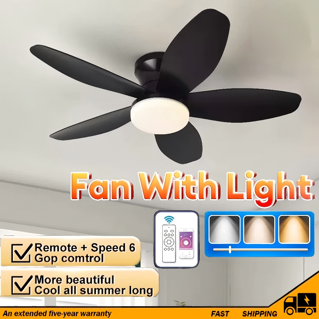 Small Ceiling Fans with Lights - 26 Inch Flush Mount Ceiling Fans with ...