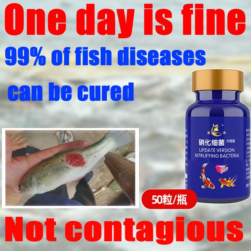 versatile fish medicine no more dead fish in the fish tank Nitrifying ...